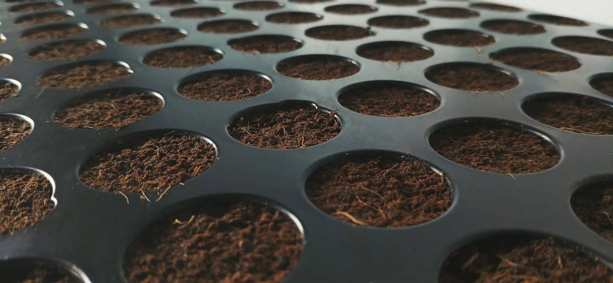 Introducing Plug Life Propagation Trays - Max Hydro